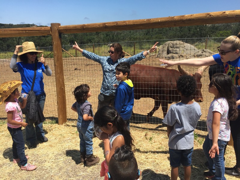 Field Trips - Children's Nature Retreat