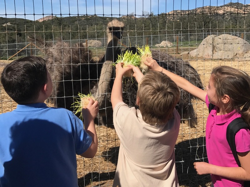 Field Trips - Children's Nature Retreat