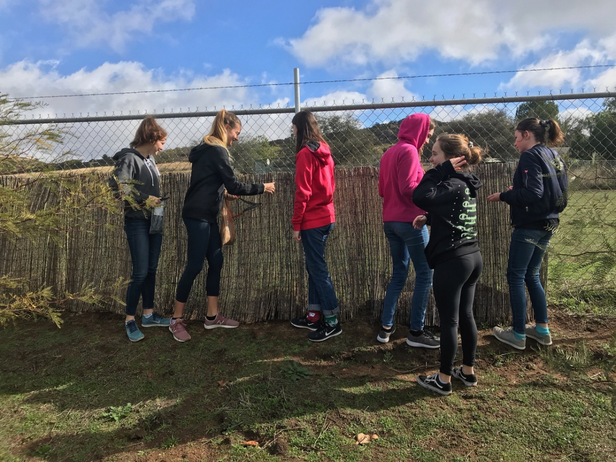 Clean-up Day at the Retreat - Children's Nature Retreat